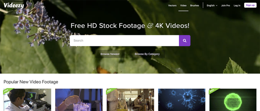 Videezy - my Creative Toolkit